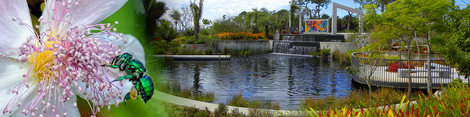 Attractions | Naples Real Estate